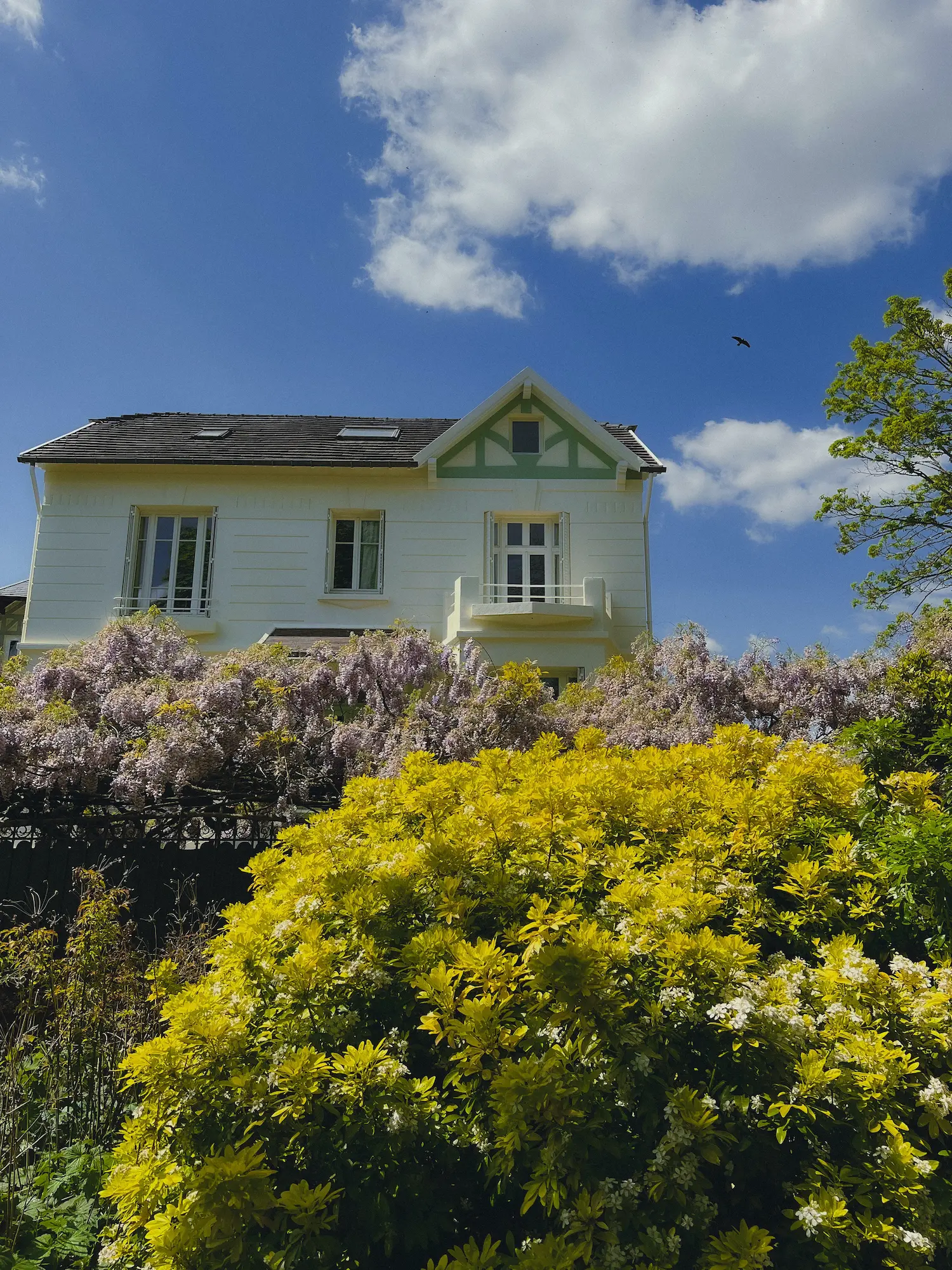 Preparing for Spring - Laser One Pest Management